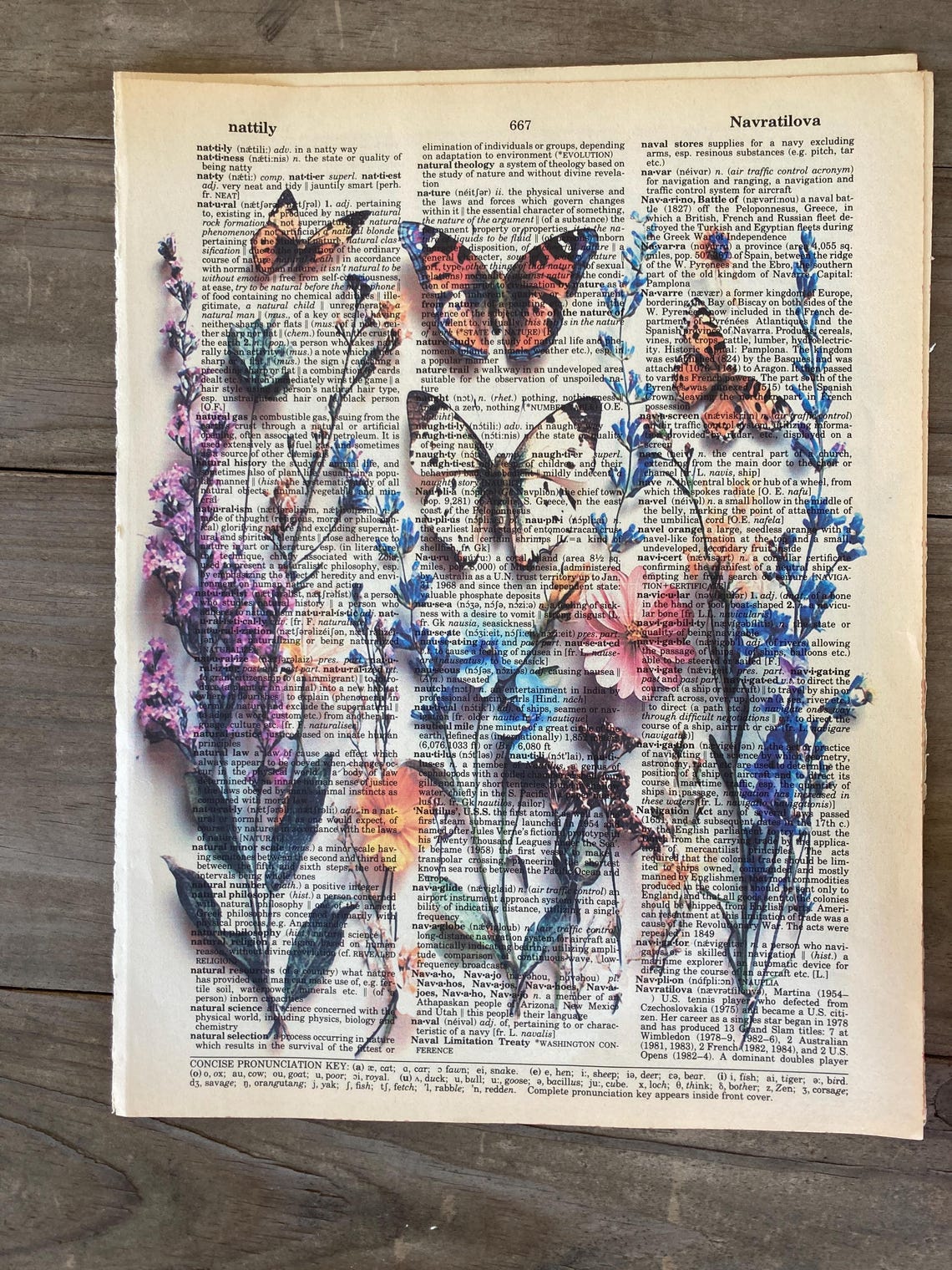 Wild Flowers Themed Dictionary Print Set #1116 - 4-piece Set Pressed ...