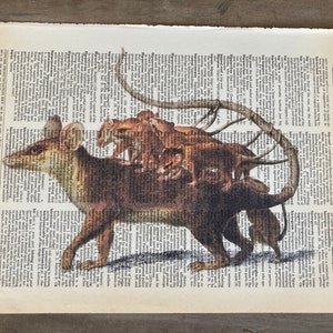 Wild Animal Family Themed Dictionary Print Set #6 - 6-piece Set - Wild ...