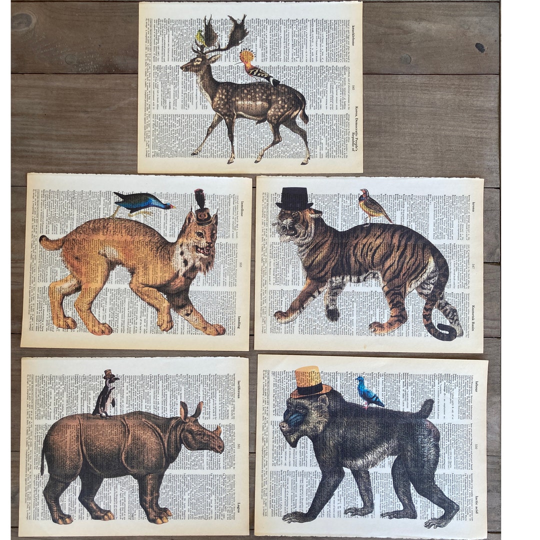 Wild Animal Art - Vintage Animal Art Prints, Funny Art Print, Printed ...