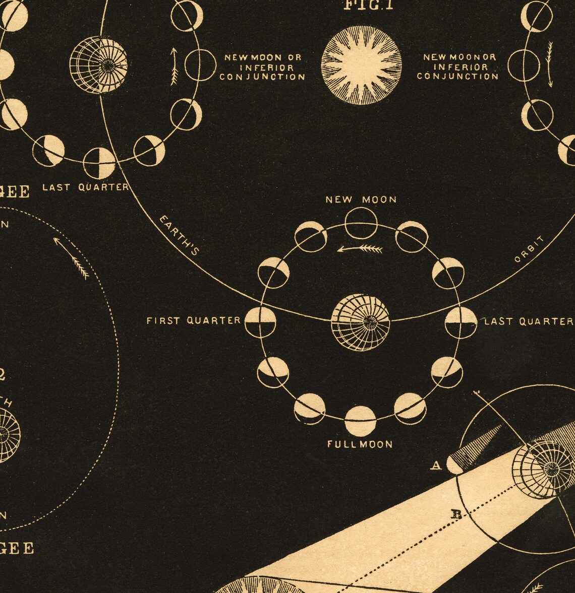 1850s Phases of the Moon Reprint Victorian Astronomy | Etsy