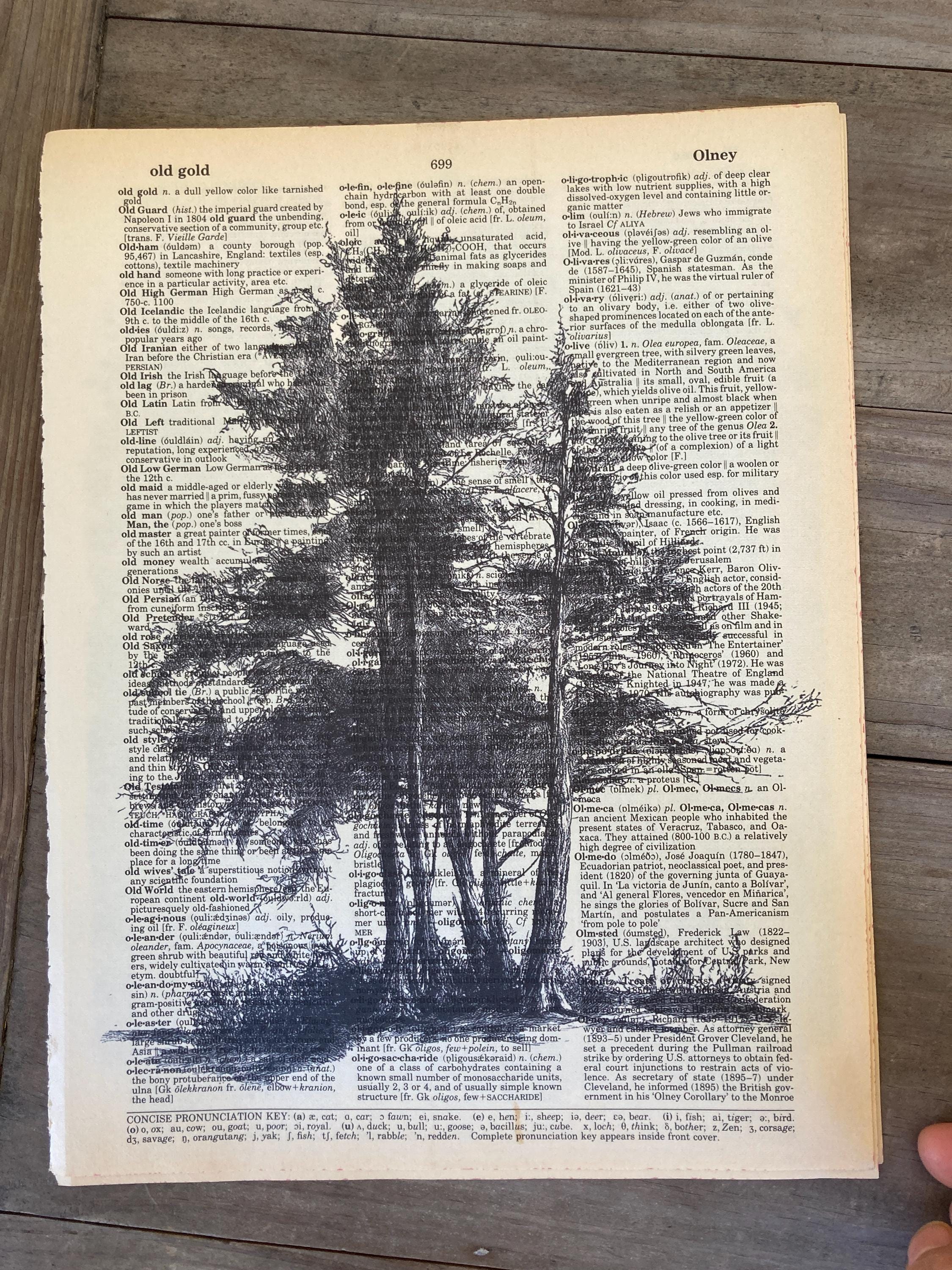 Tree Drawing Themed Dictionary Prints - 6 Piece Set - Antique Sketch ...