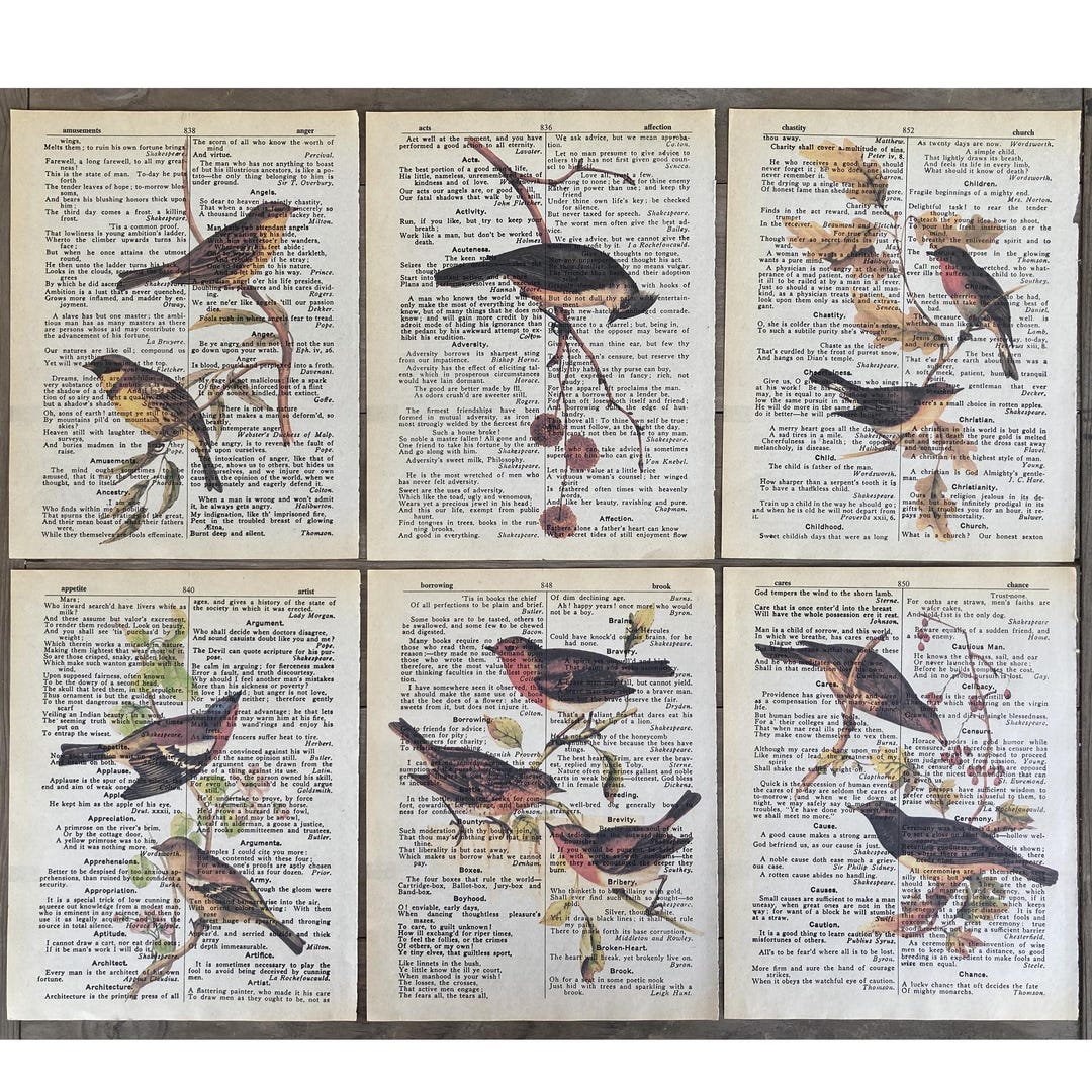 Vintage Bird Art Prints on Antique Dictionary Pages - Set of 6 ...