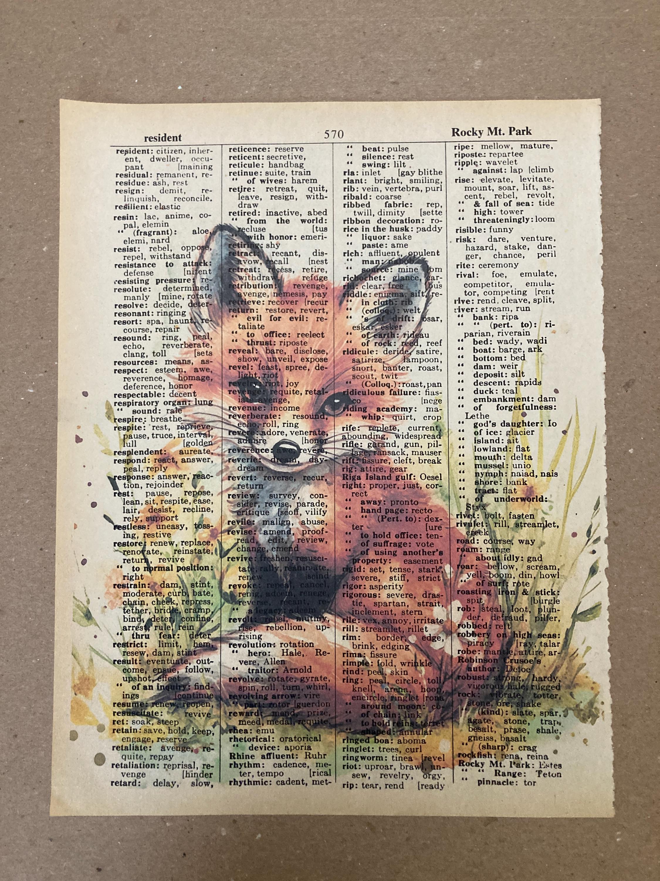 Woodland Baby Animal Themed Dictionary Prints, 6-piece Set, Dictionary ...