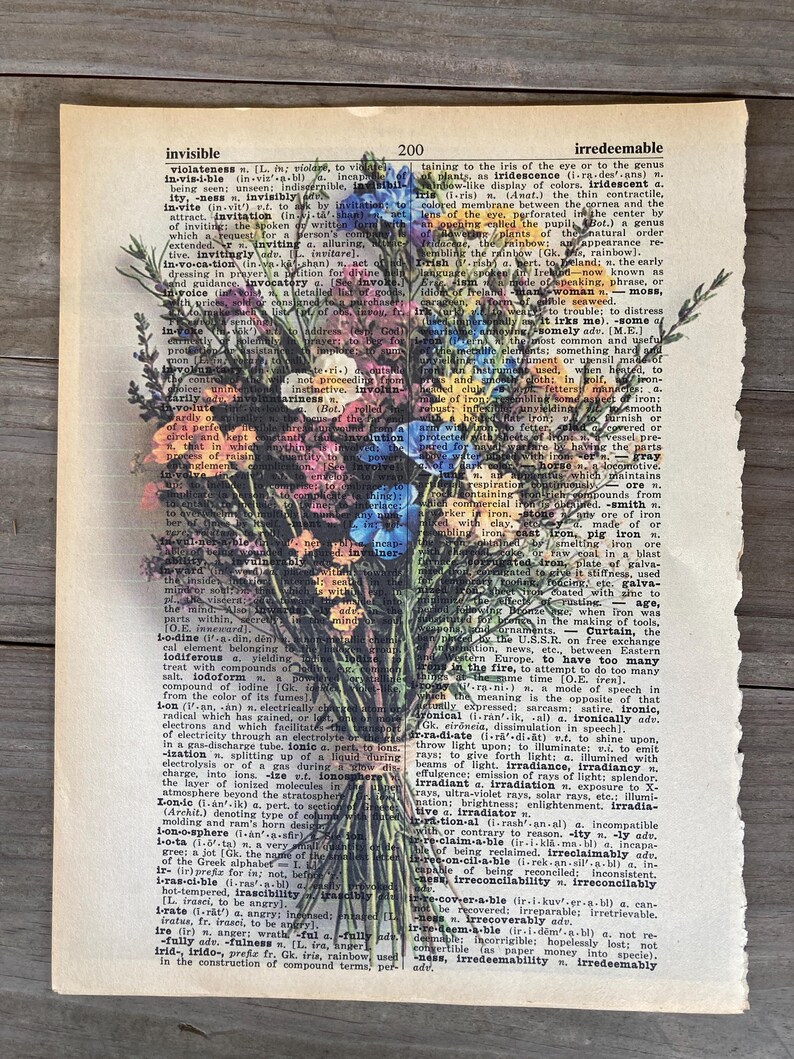 Wild Flowers Themed Dictionary Print Set #1110 - 6-piece Set Pressed ...