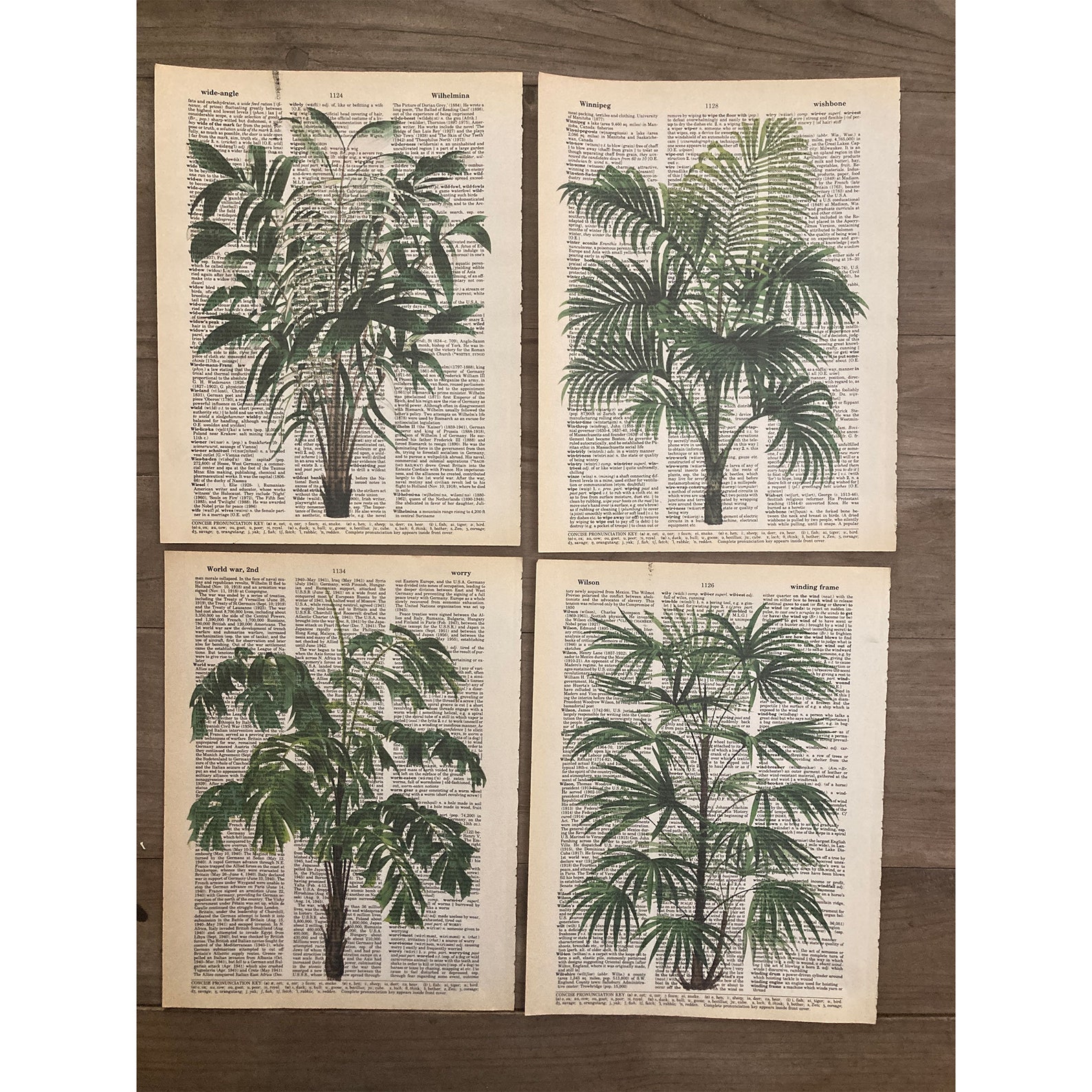 Trees Themed Dictionary Print Set - 4-piece Set - Palm Tree Art ...