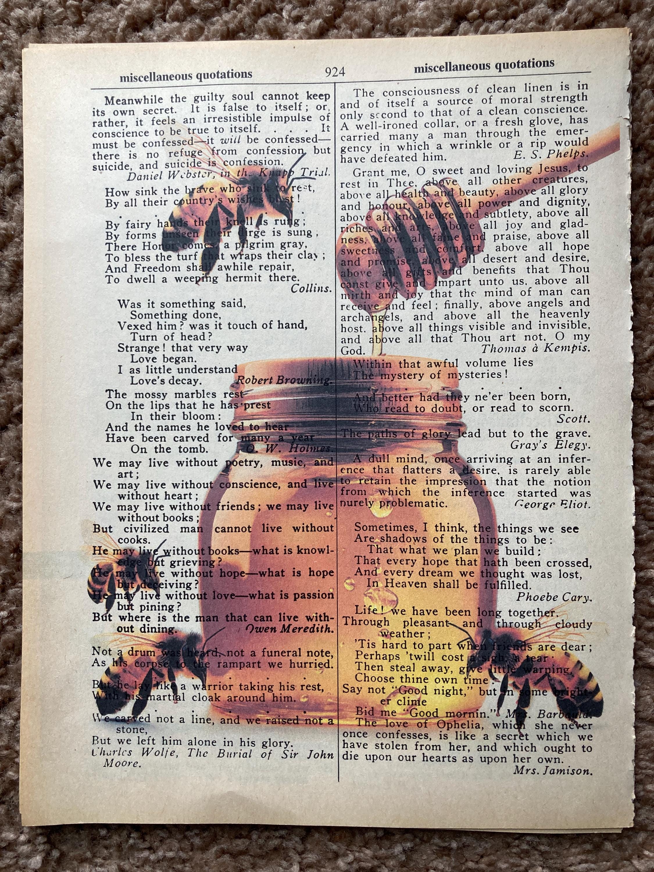 Bee Themed Dictionary Print Set - Bee & Beehive, - Rustic Honeybee ...