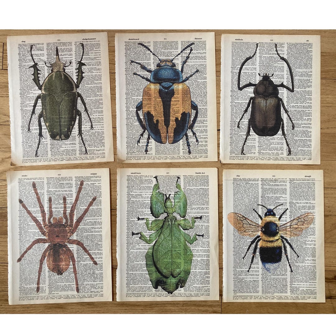 Bug/insect Themed Themed Dictionary 6-piece Print Set- Bug Art ...