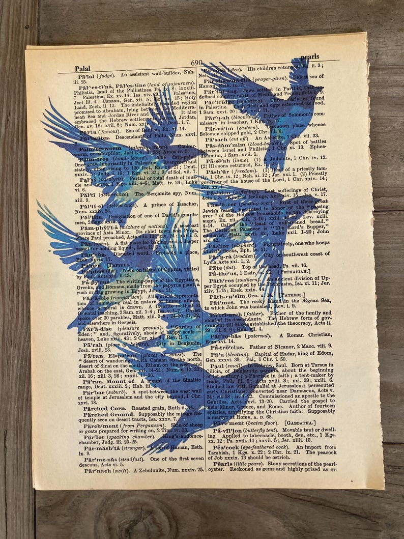 Blue Bird Themed Dictionary Prints - 4 Piece Set Watercolor Bird Print ...