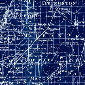 Map of Illinois 1854, Vintage Illinois Railroad Map Reprint - 4 Sizes ...