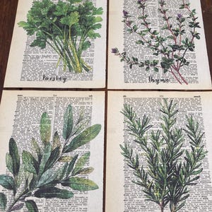 Herbs Themed Dictionary Prints - 4 Piece Set - Parsley, Sage, Rosemary, and Thyme - Printed on ...