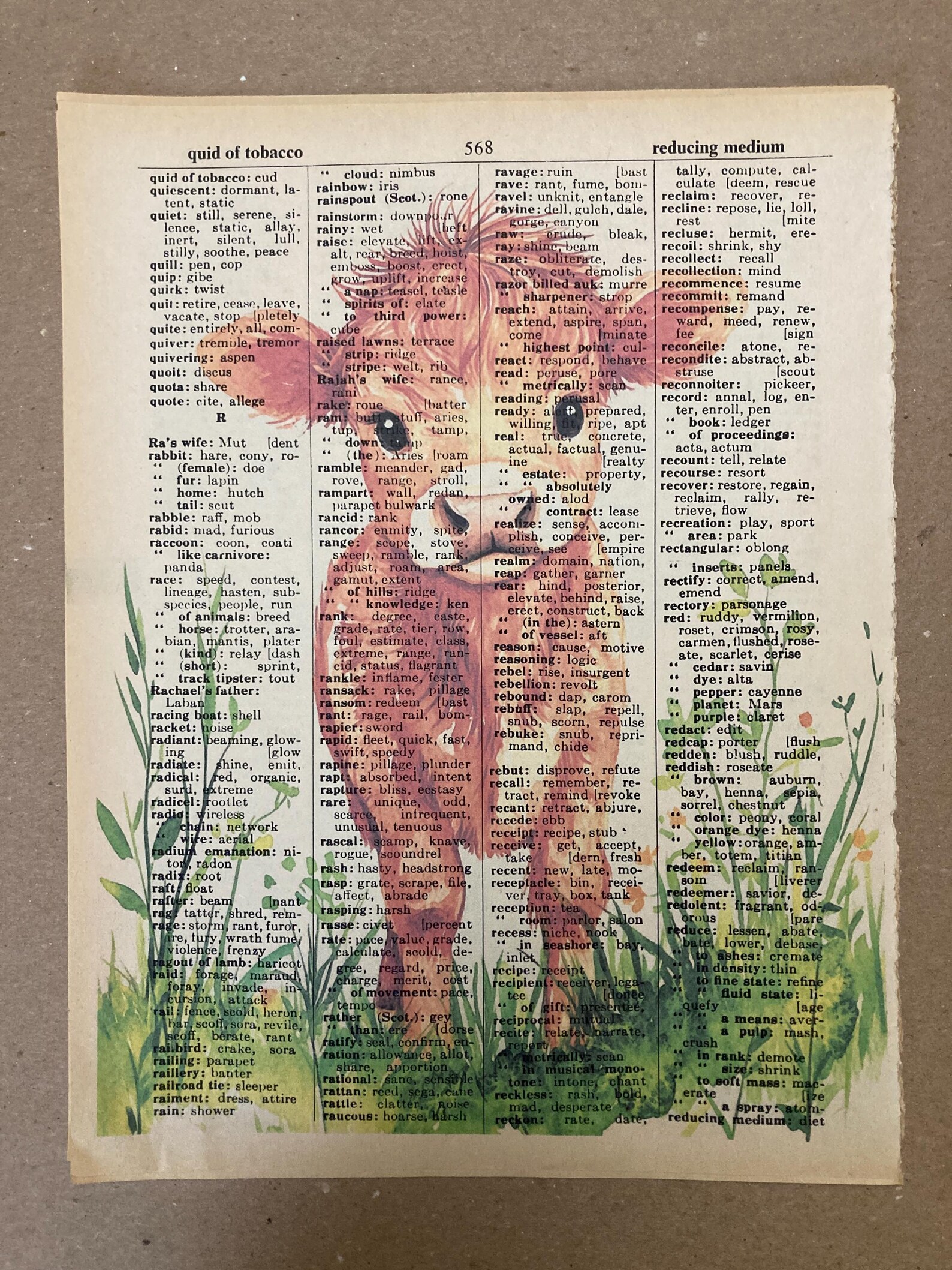 Woodland Baby Animal Themed Dictionary Prints, 6-piece Set, Dictionary ...