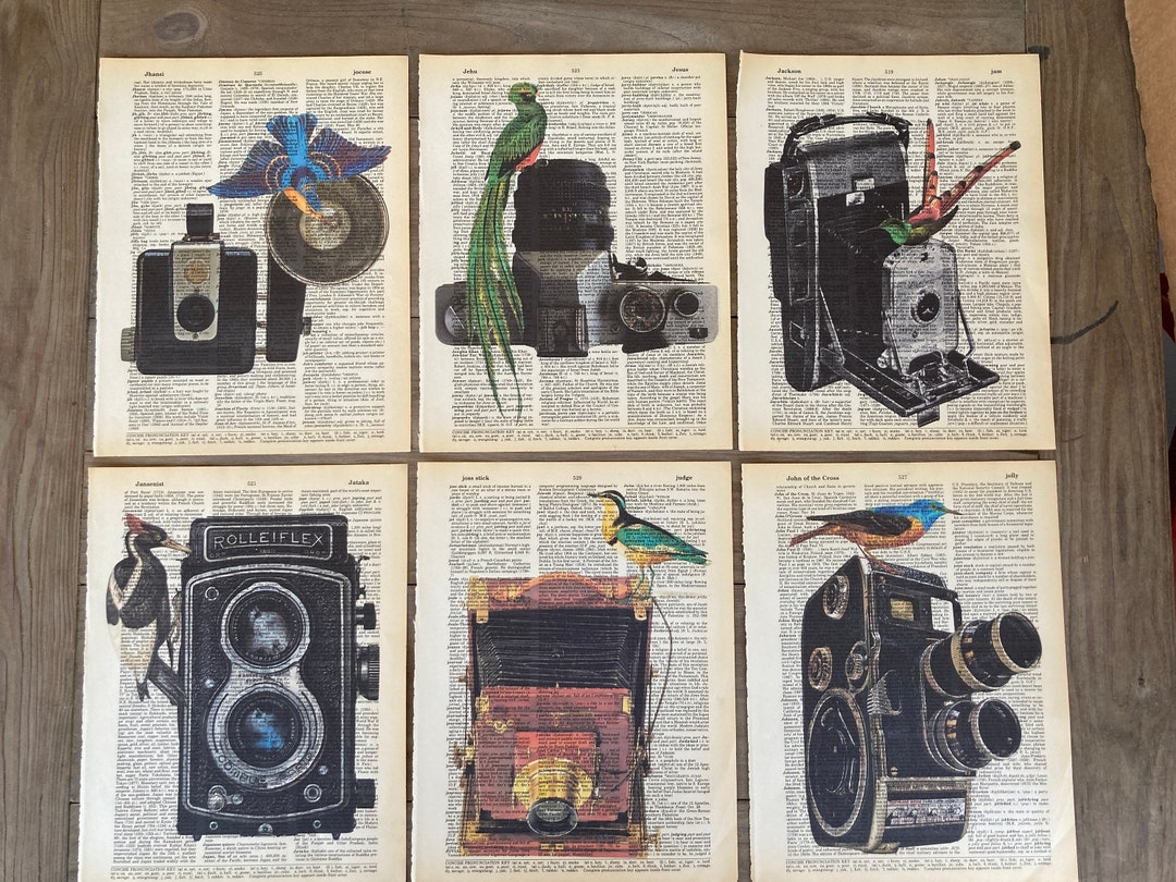 Bird Antique Camera Art Print - Vintage Camera Prints, 6-piece Set ...