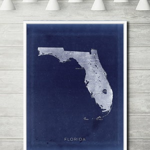 Florida Relief Map Reprint, Vintage Florida Map Reprint 6 Large/xl ...