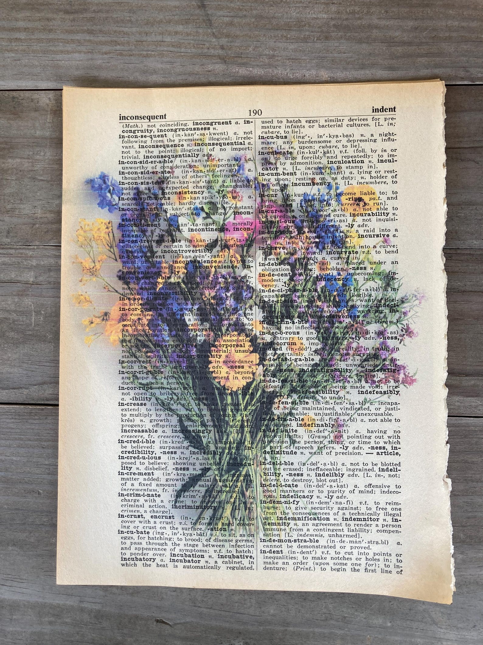 Wild Flowers Themed Dictionary Print Set #1110 - 6-piece Set Pressed ...