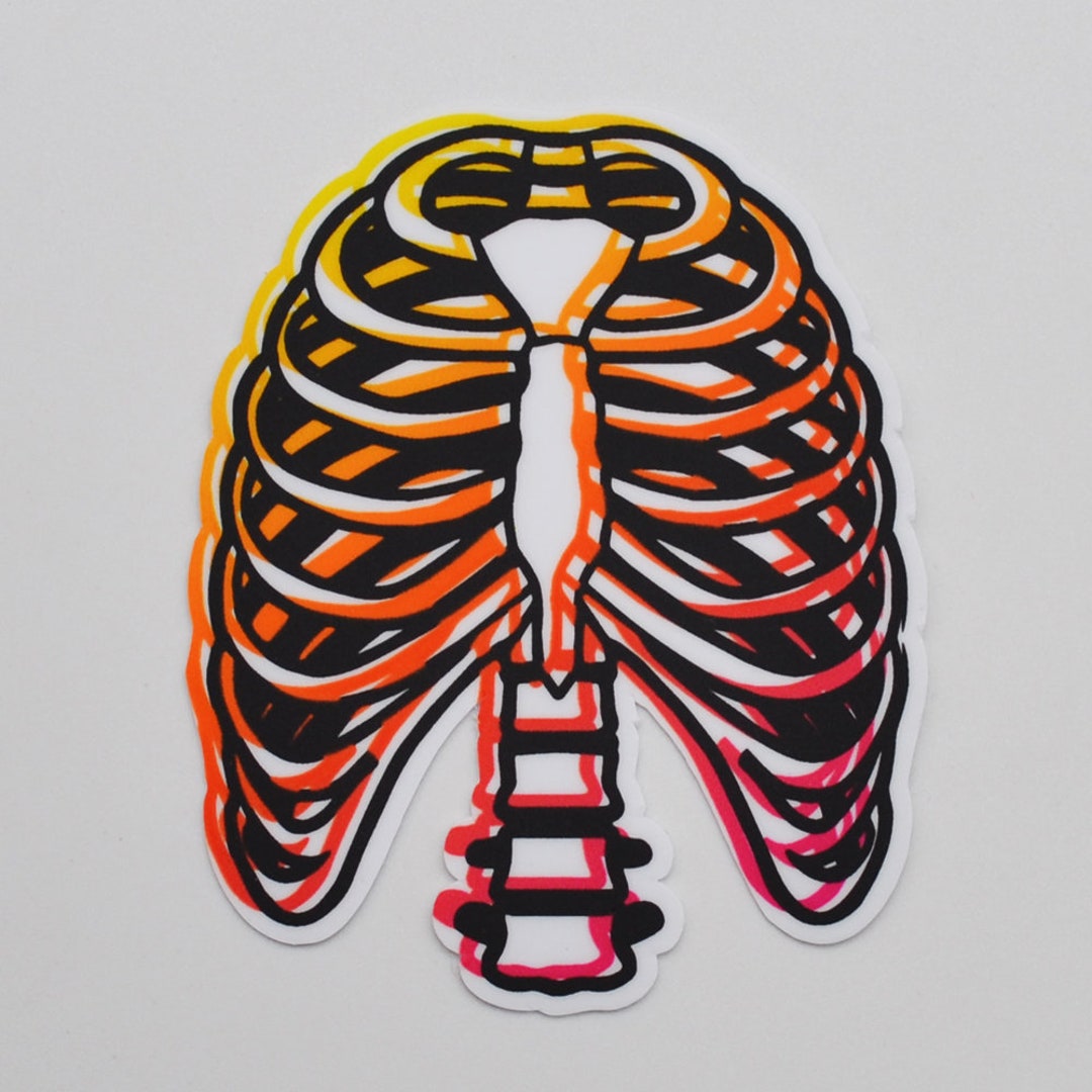 Rib Cage - Sticker - Etsy