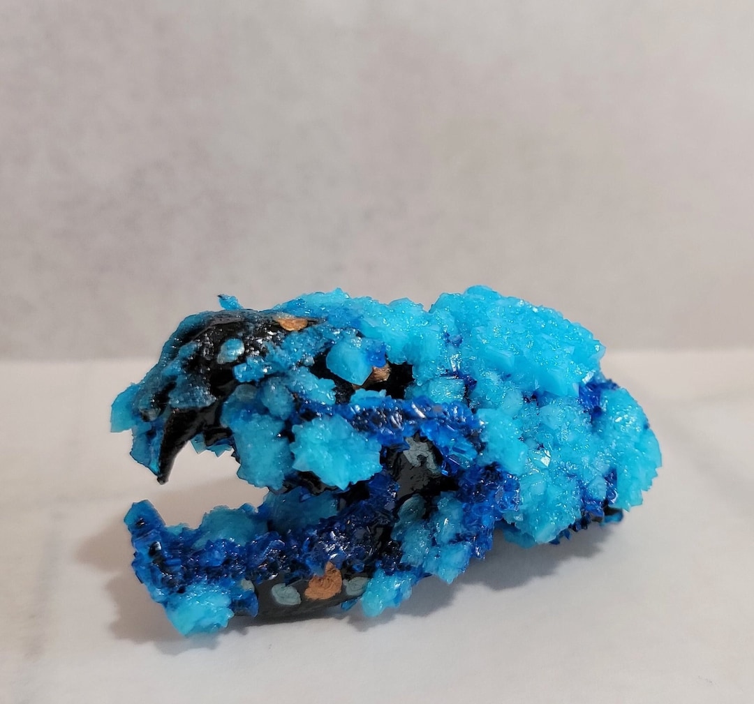 Blue Crystallized Mink Skull - Etsy