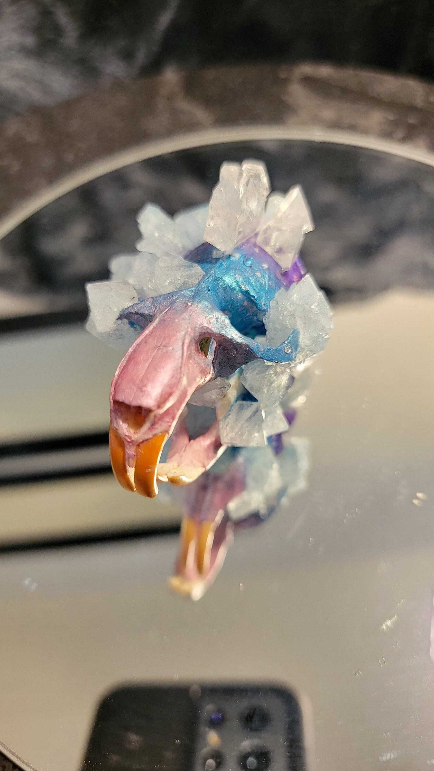 Real Crystalized Muskrat Skull - Etsy
