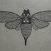 Parrot Bug - Original Hand-pulled Etching - Etsy