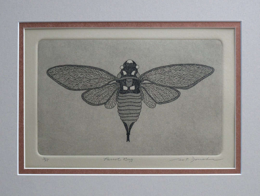 Parrot Bug - Original Hand-pulled Etching - Etsy