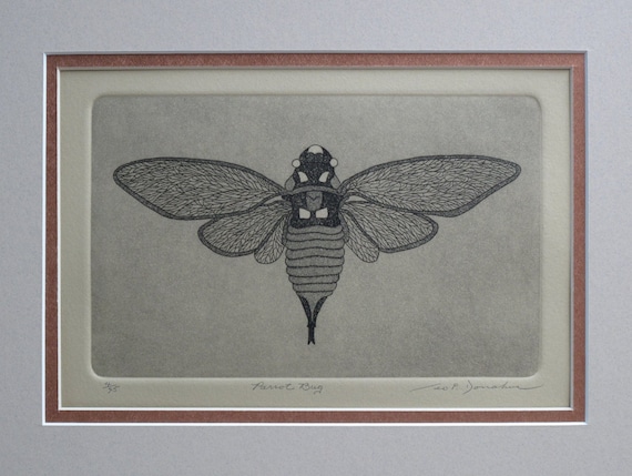 Parrot Bug Original Hand-pulled Etching | Etsy