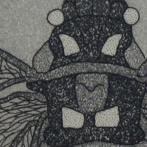 Parrot Bug - Original Hand-pulled Etching - Etsy