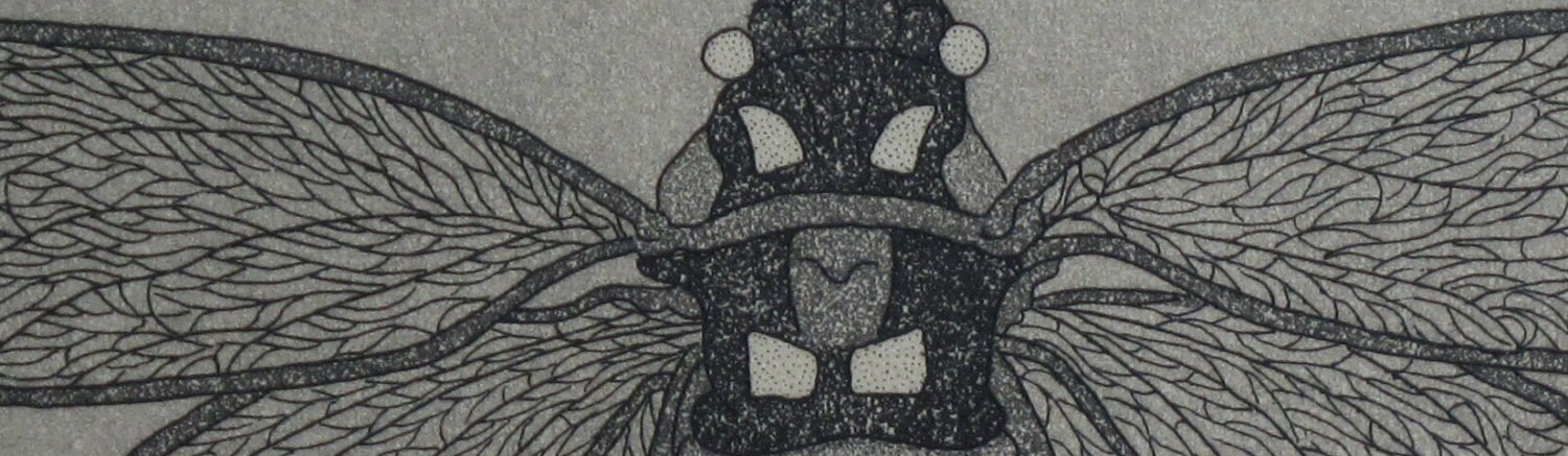 Parrot Bug - Original Hand-pulled Etching - Etsy