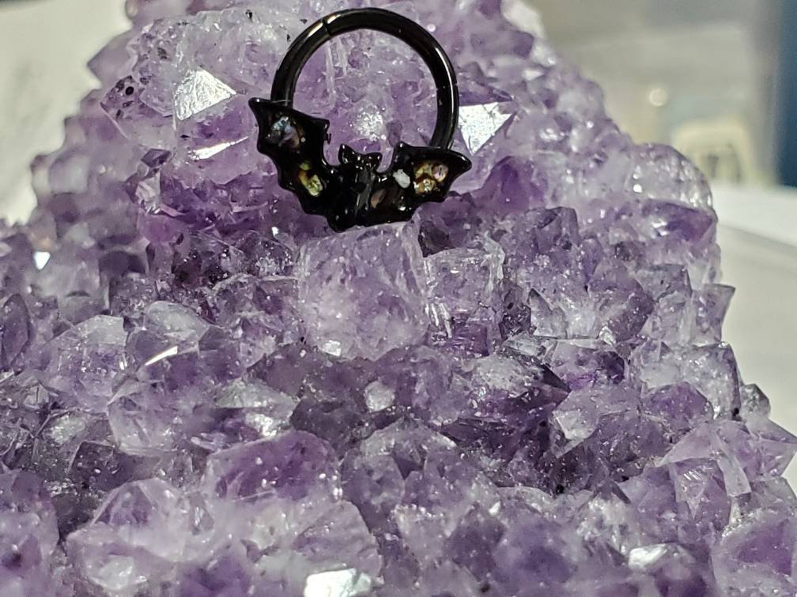 Petite Abalone Bat Clicker 16G Septum/cartilage/tragus/daith - Etsy