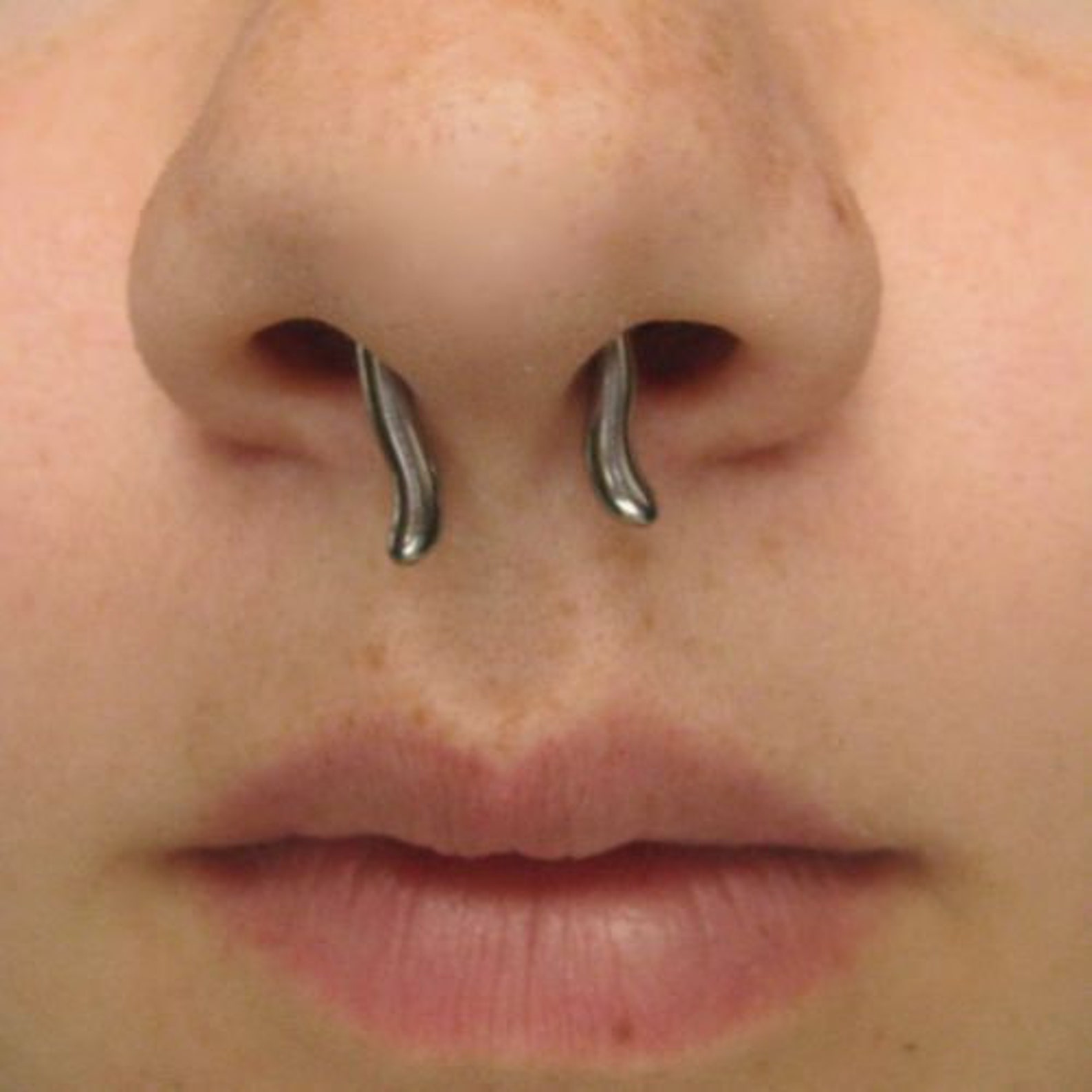 Septum Retainer 16G Flip up to Conceal 316L Body Implant Grade - Etsy