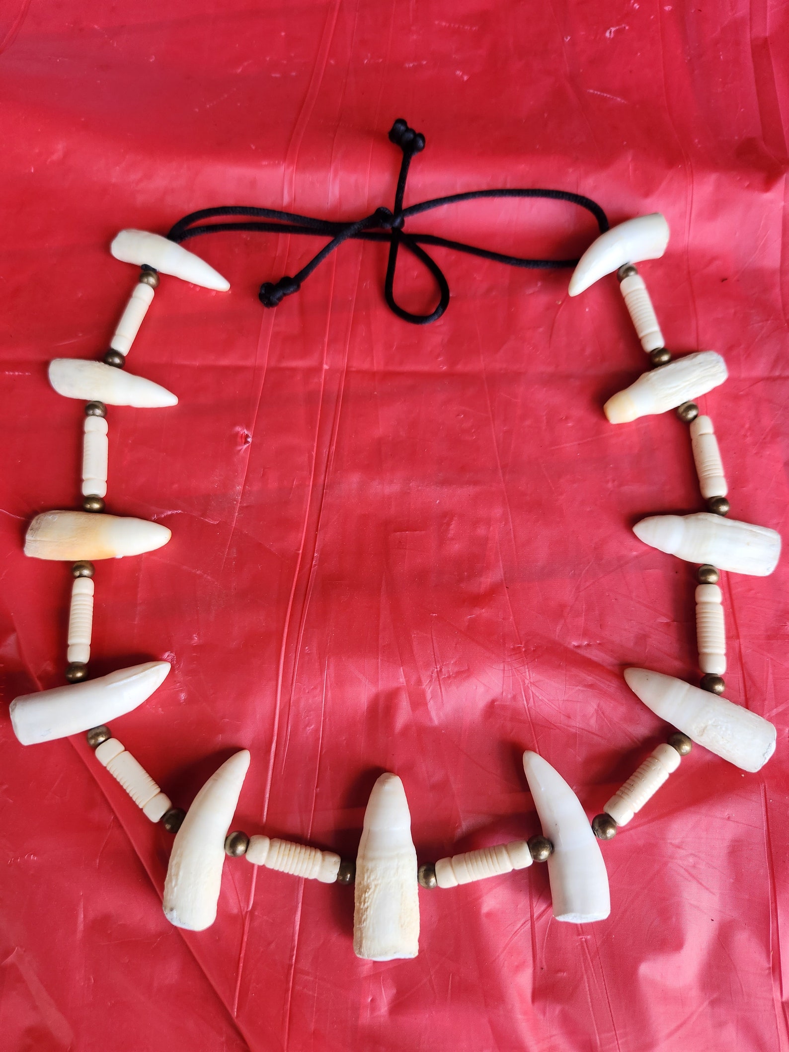 Genuine Alligator Tooth and Genuine Buffalo Bones Hat Band One - Etsy