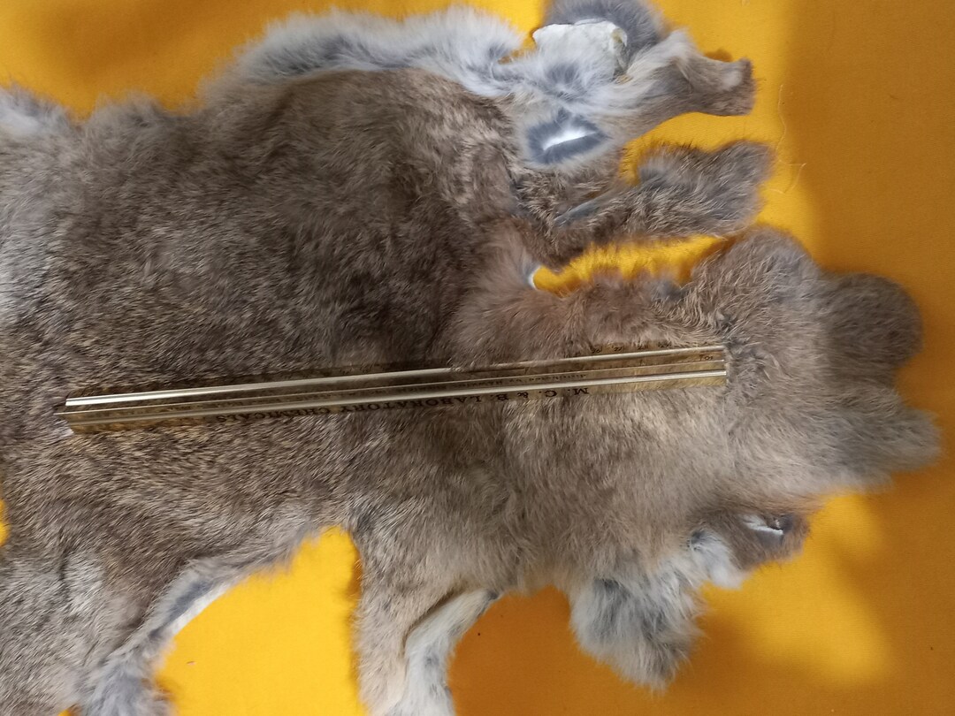 N7 Medium Brown Rabbit Skin , Bunny Fur, Pelt Tanned by Me. - Etsy