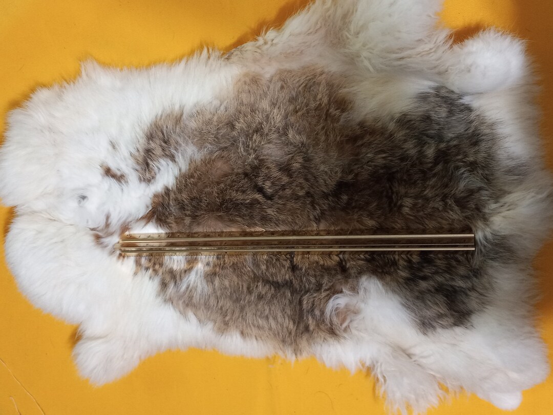 N52 Medium Brown Rabbit Skin Bunny Fur Pelt Tanned by Me. - Etsy