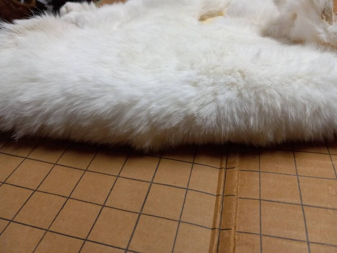 N72 Giant White Rabbit Skin , Bunny Fur. Pelt Tanned by Me. Rex Fur ...