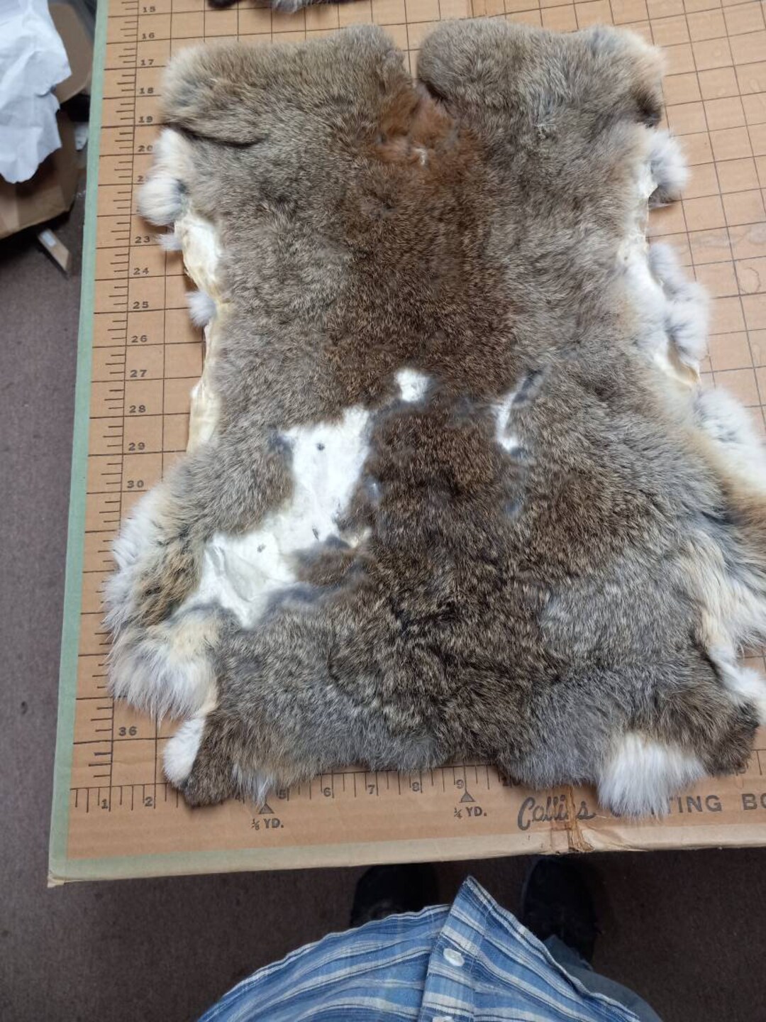 N66 Large Brown Rabbit Skin Bunny Fur. Home Raised Pelt - Etsy