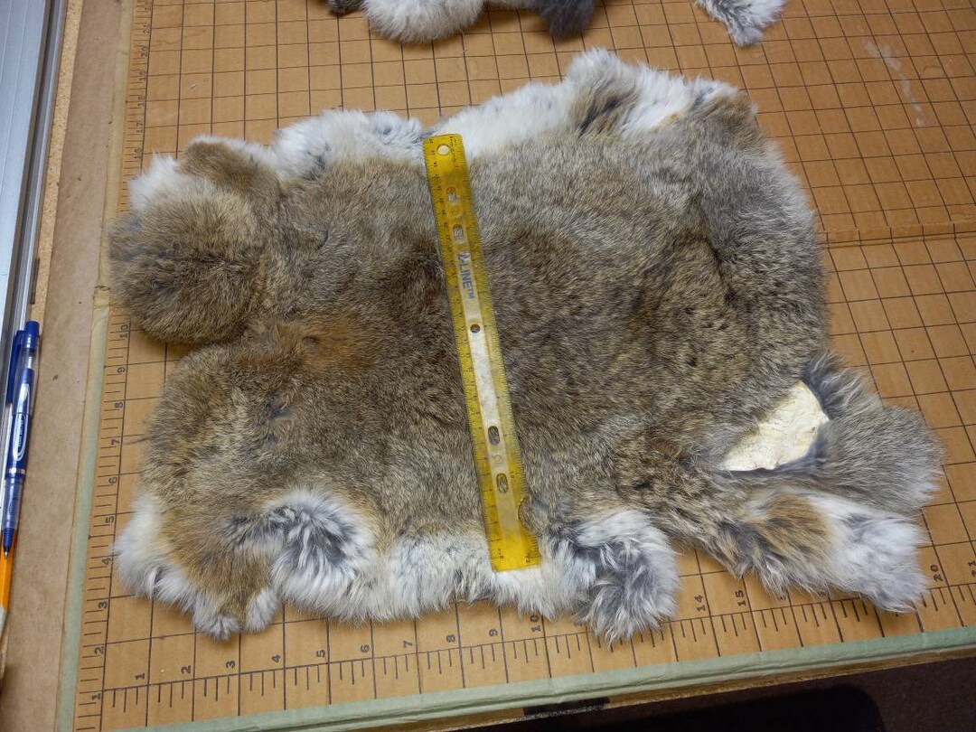N20 Large Brown Rabbit Skin ,mature Tough Hide. Bunny Fur, Pelt Tanned ...