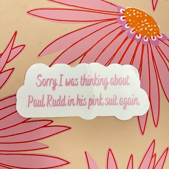 Paul Rudd Pink Suit Sticker | Etsy