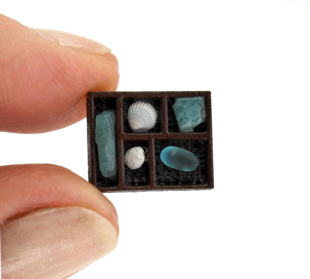Micro Display Shelf - Beach Glass, Gems + Shells Collection - Miniature ...