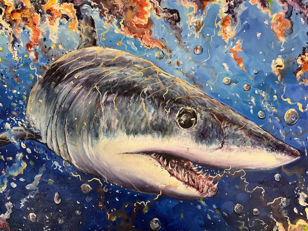 Sunset Mako Shark 16 X 20 Original Painting on Canvas - Etsy
