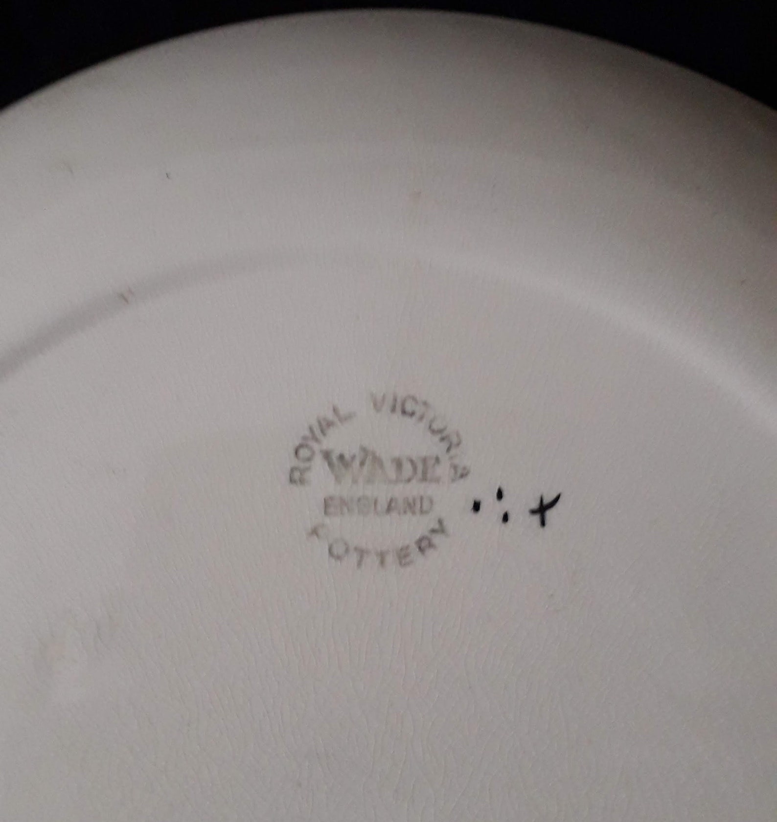 RARE Royal Victoria WADE Pottery Handpainted Display Plate | Etsy