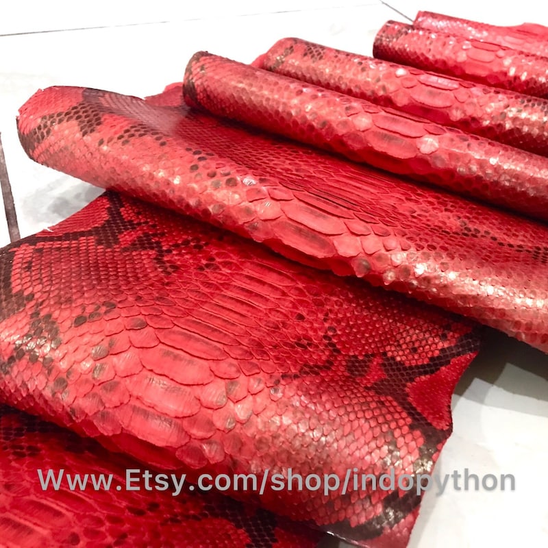 Snake Skin Fabric - Etsy