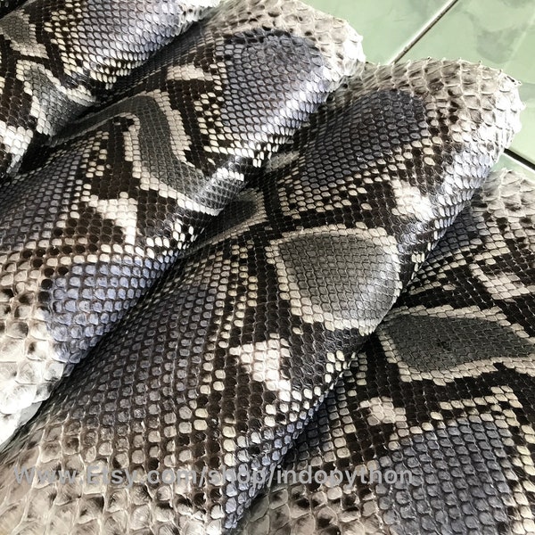 Real Snake Skin - Etsy