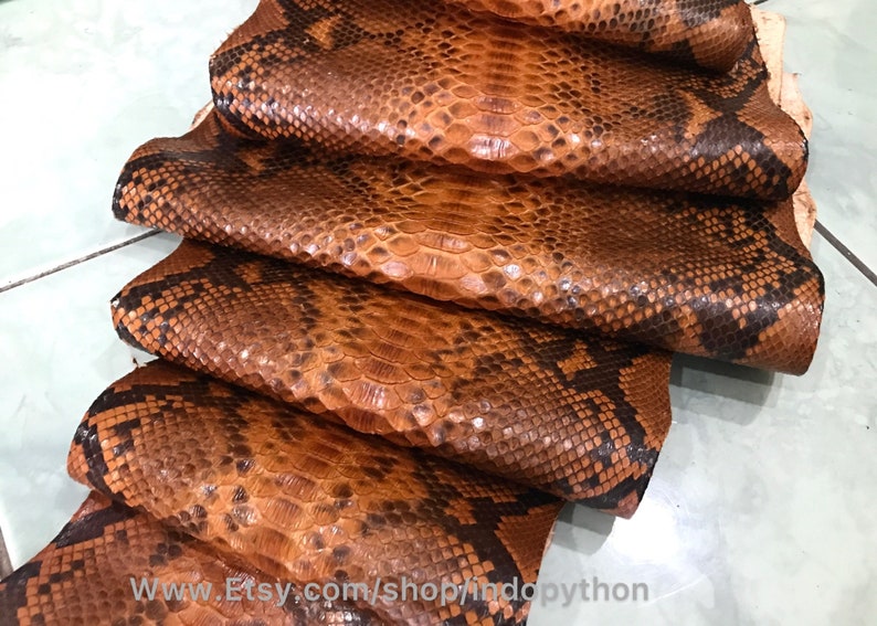 Genuine Python Leather Natural Python Leather Hide Snake - Etsy