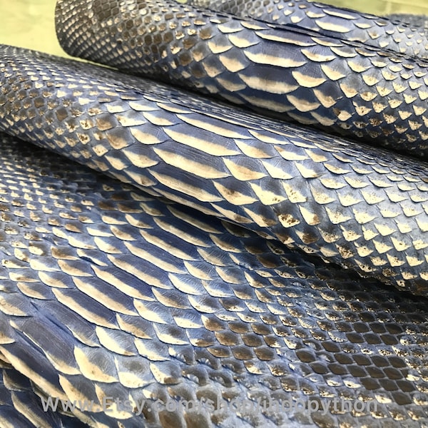 Blue Snake Skin - Etsy