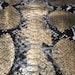 Genuine Python Leather Natural Python Leather Hide Snake - Etsy