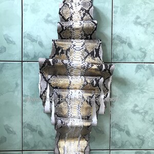 Genuine Python Leather, Natural Python Leather, Hide Snake Skin, Gray ...