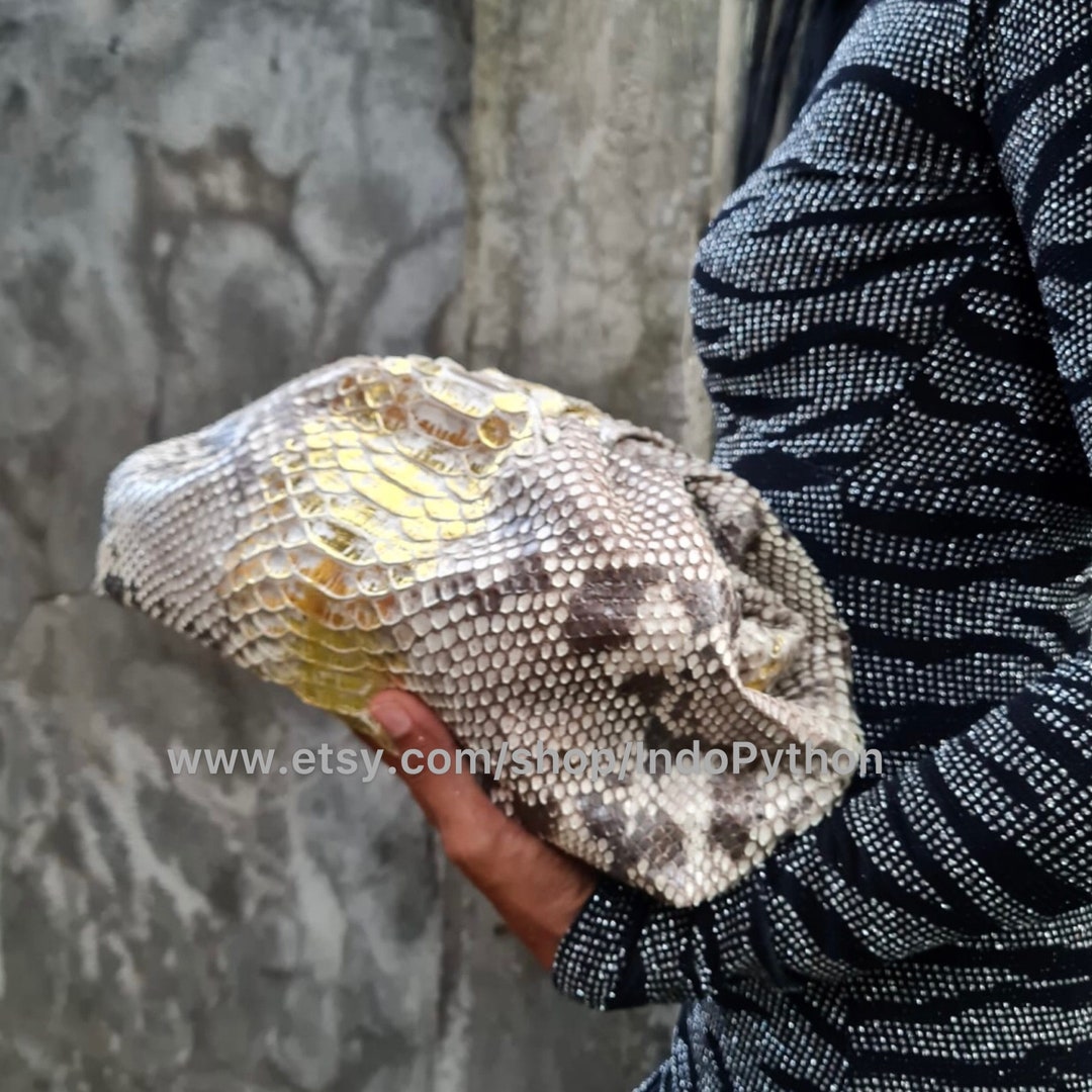 Python Bag #cloud Bag #snakeskin Bag #gold Silver Bag #gift for Her # ...