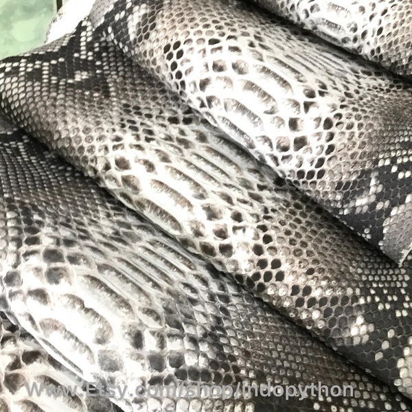 Real Snake Skin - Etsy