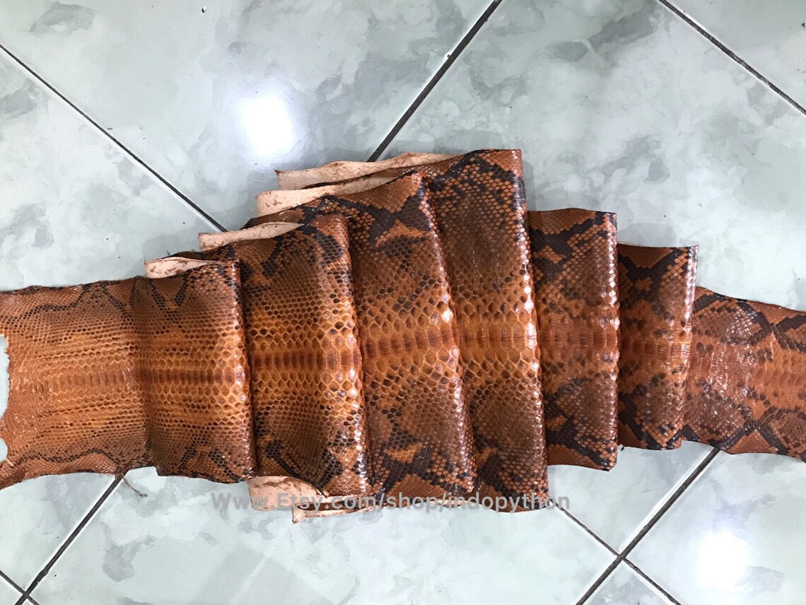 Genuine Python Leather Natural Python Leather Hide Snake - Etsy