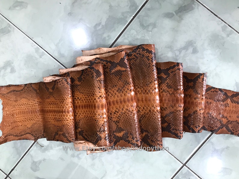 Genuine Python Leather Natural Python Leather Hide Snake - Etsy