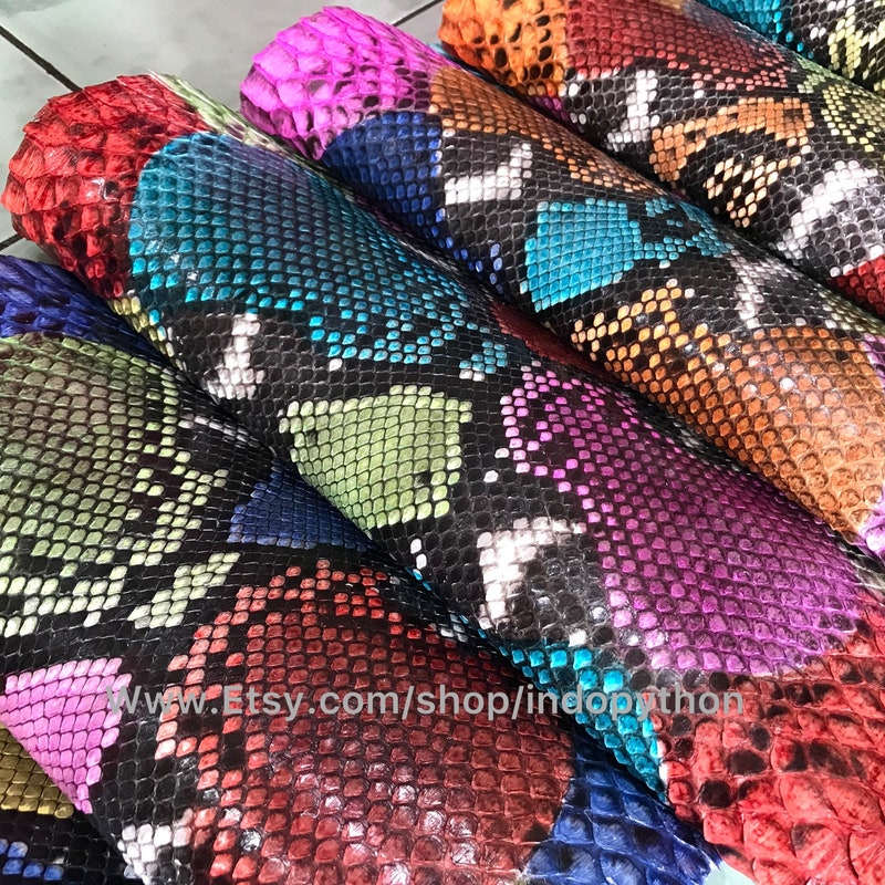 Rainbow Snakeskin - Etsy