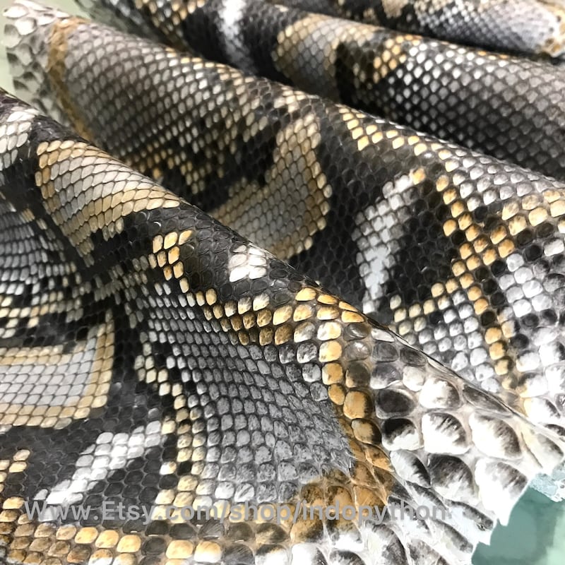 Real Snake Skin - Etsy